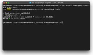 How to take snapshot of a map using Google Maps JavaScript API (v3) in Vue.js?